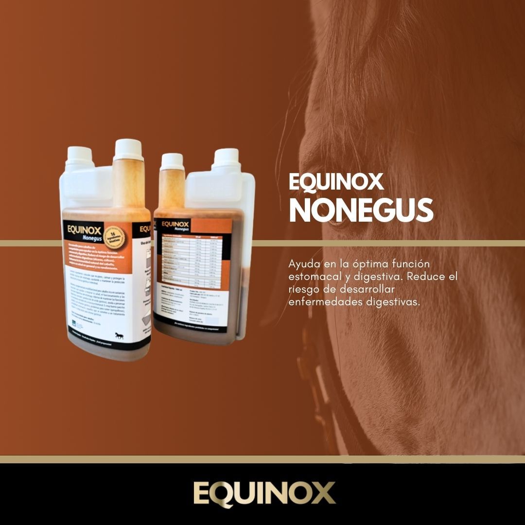 Suplementos para caballos | Equinox Equine